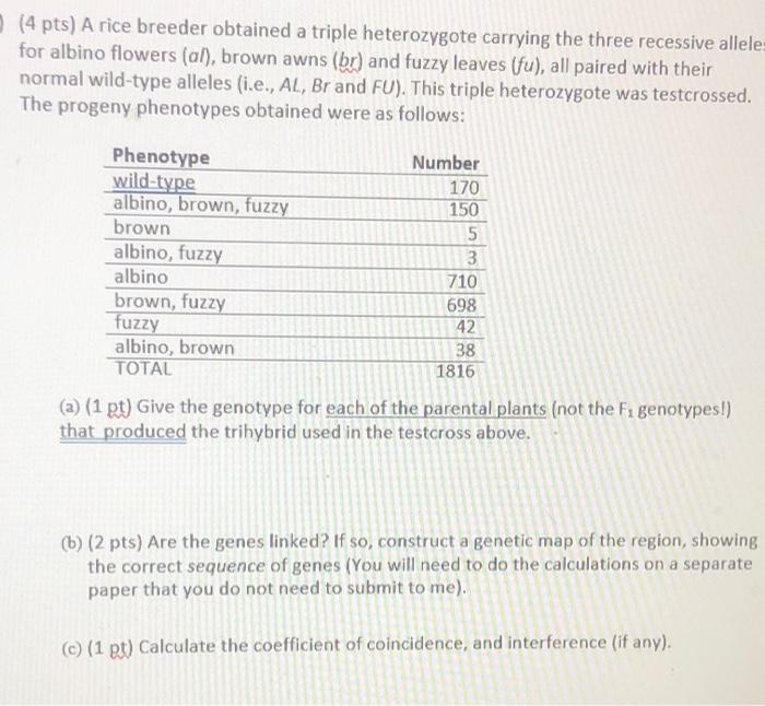 Solved (4 pts) A rice breeder obtained a triple heterozygote | Chegg.com