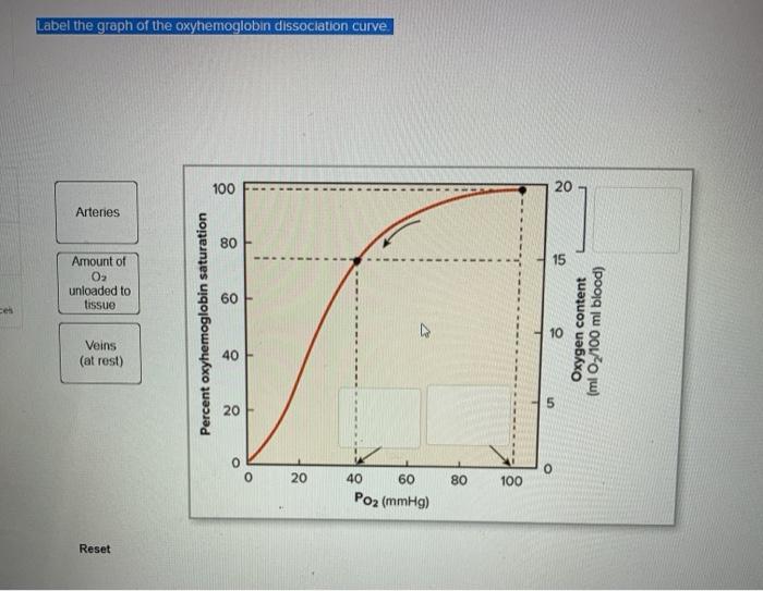 Solved Label the graph of the oxyhemoglobin dissociation | Chegg.com