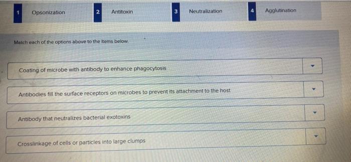 Solved Match the phrase to the terms they describe to test | Chegg.com