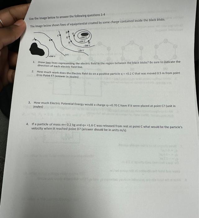 Solved Use the image below to answer the following questions | Chegg.com