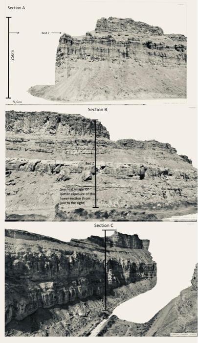 Solved How can I draw the sedimentary logs to depict the | Chegg.com