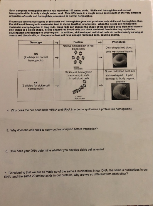 Solved Tr Name: Mutation Reading--How the Gene for Sickle | Chegg.com