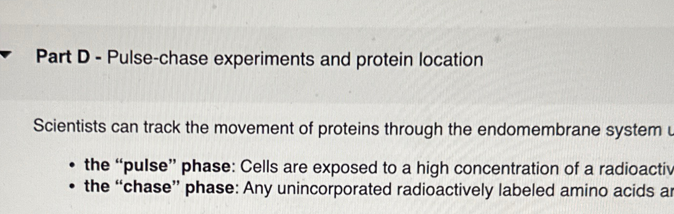 Solved Part D - ﻿Pulse-chase experiments and protein | Chegg.com