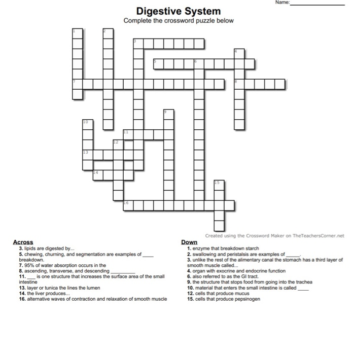Solved Can Anyone Figure Out 2 And 3 Down Digestive System Chegg Solved Can Anyone Figure Out 2 And 3 Down Digestive System Chegg
