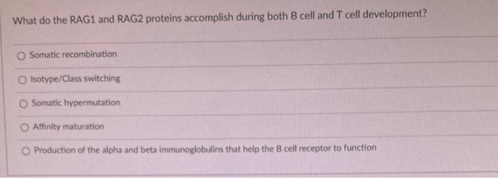 Solved What do the RAG1 and RAG2 proteins accomplish during | Chegg.com