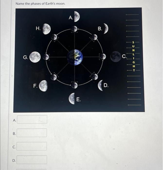 Solved Name the phases of Earth's moon. A. B. c. D. | Chegg.com