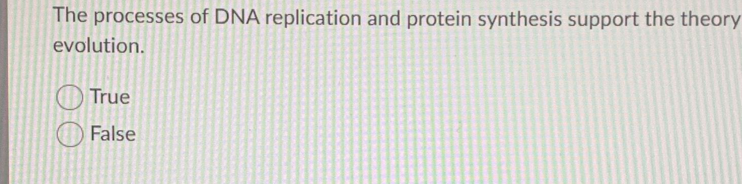 Solved The processes of DNA replication and protein | Chegg.com