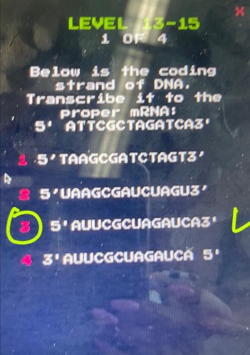 Solved thats the right answer just explanation needed | Chegg.com