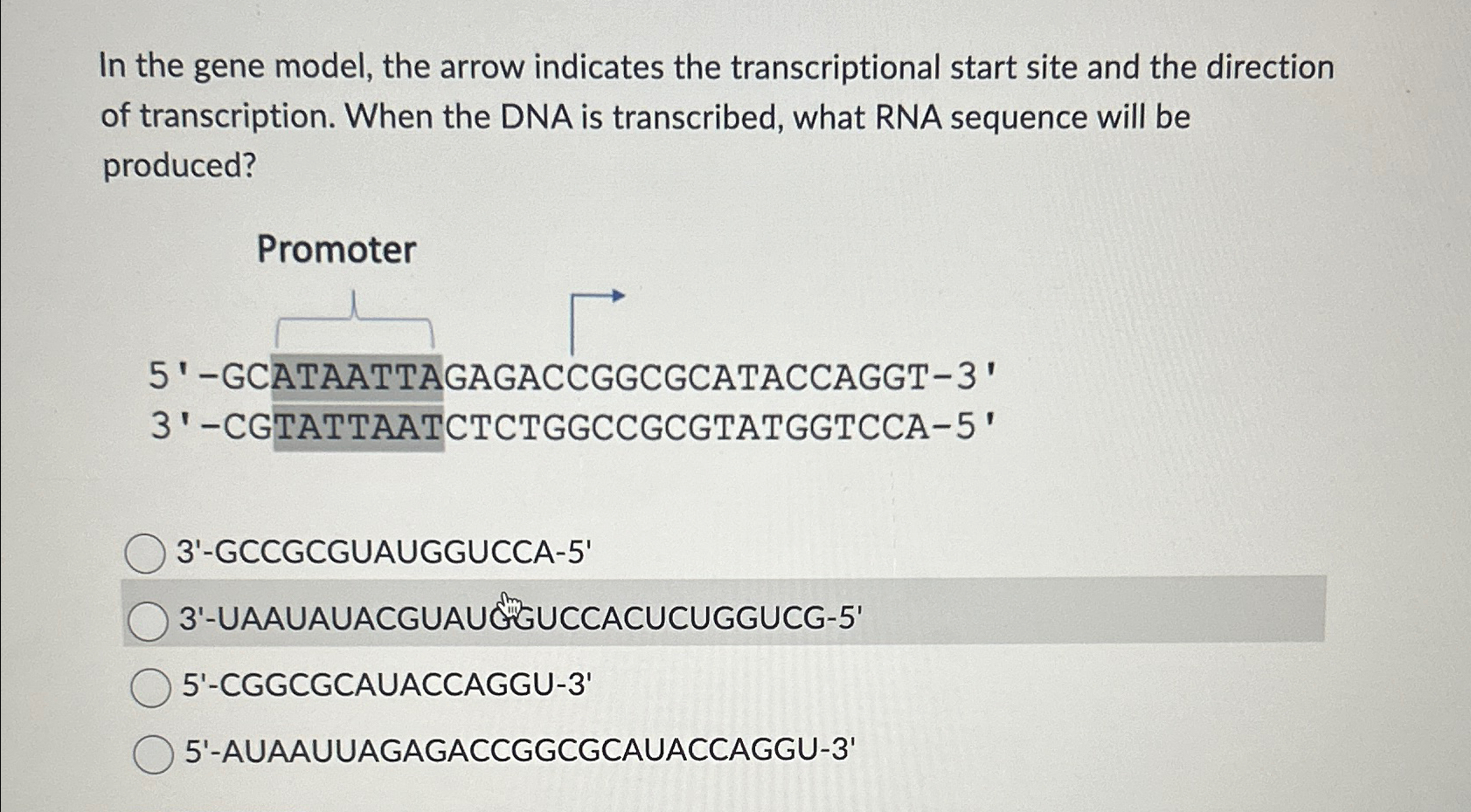 Solved In the gene model, the arrow indicates the | Chegg.com