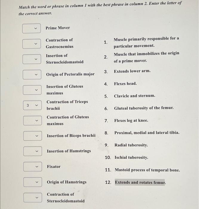 Solved Match the word or phrase in column 1 with the best | Chegg.com