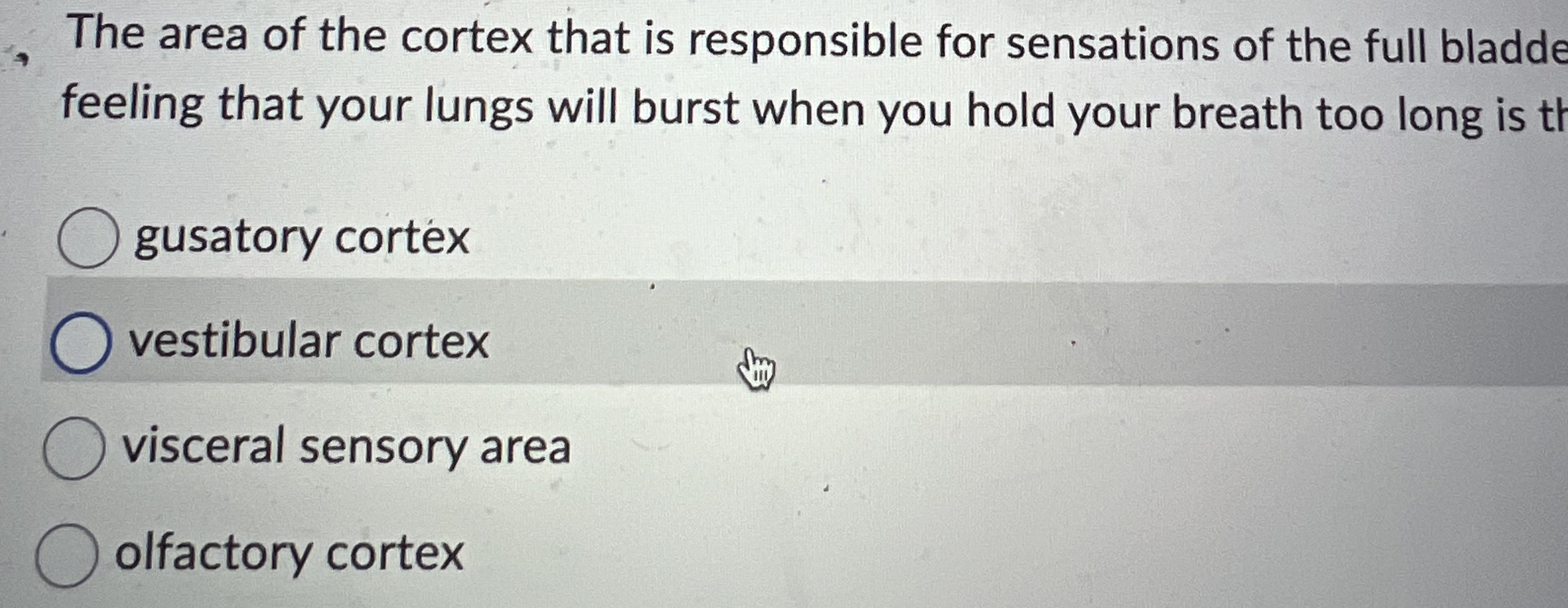 Solved The area of the cortex that is responsible for | Chegg.com