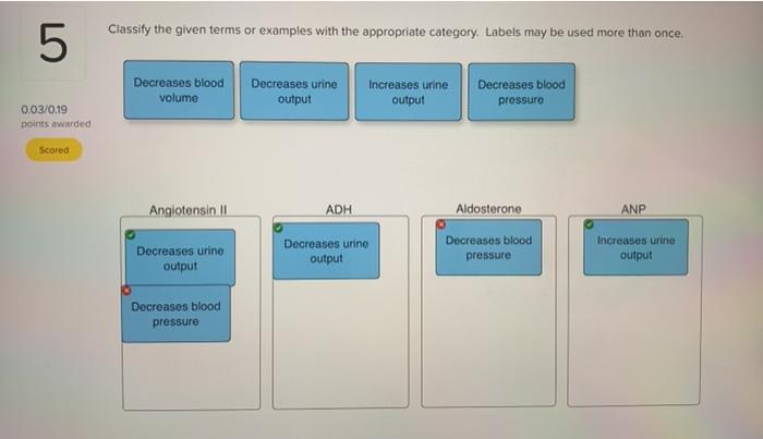 Solved Classify the given terms or examples with the | Chegg.com