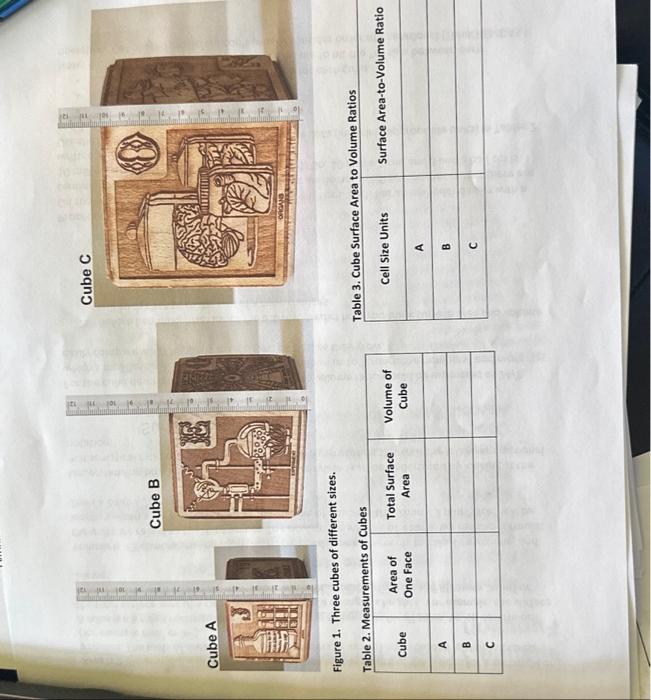 Solved Cube A 2.45 GH ctric be aday Cube G A 121 111 101 16 | Chegg.com