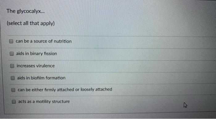 Solved The glycocalyx... (select all that apply) can be a | Chegg.com