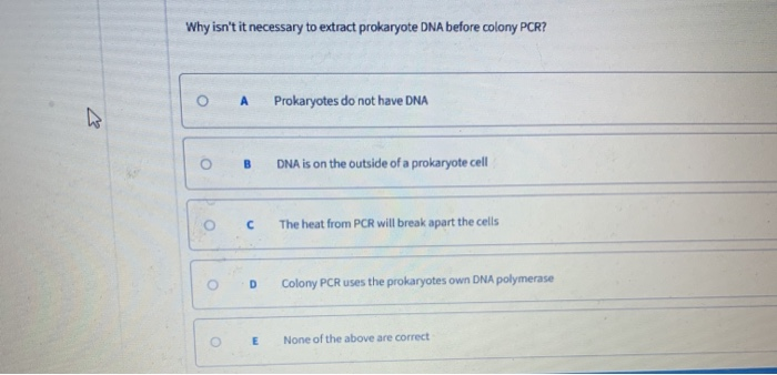 Solved Why isn't it necessary to extract prokaryote DNA | Chegg.com