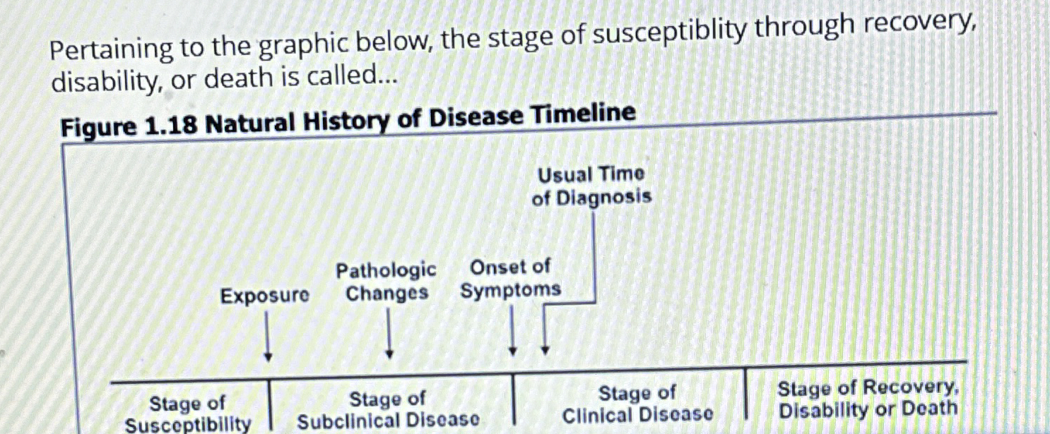 Solved Pertaining to the graphic below, the stage of | Chegg.com