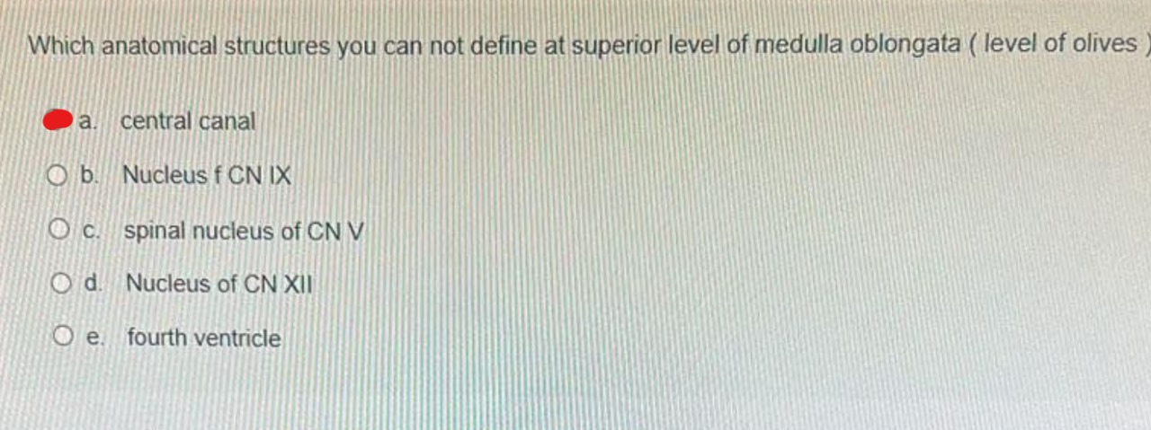 Solved what is the correct answerWhich anatomical structures | Chegg.com