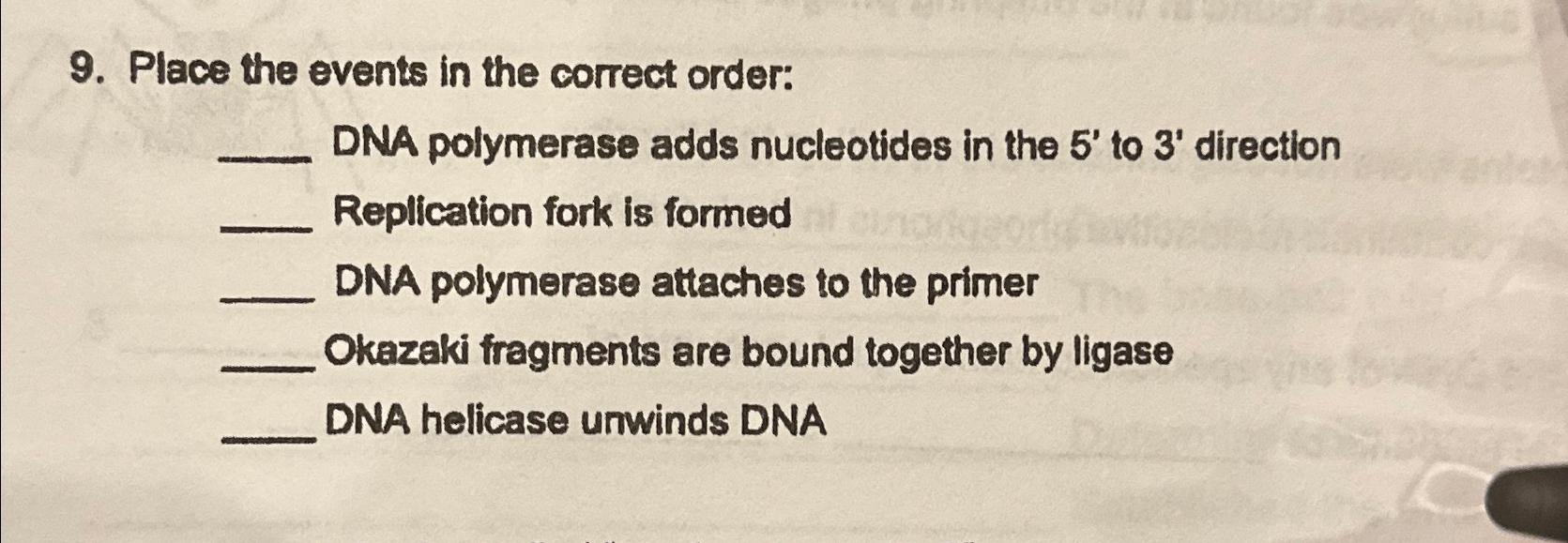 Solved Place the events in the correct order:DNA polymerase | Chegg.com