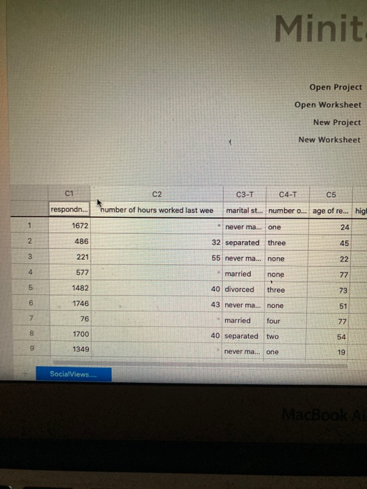 Minit Open Project Open Worksheet New Project New | Chegg.com