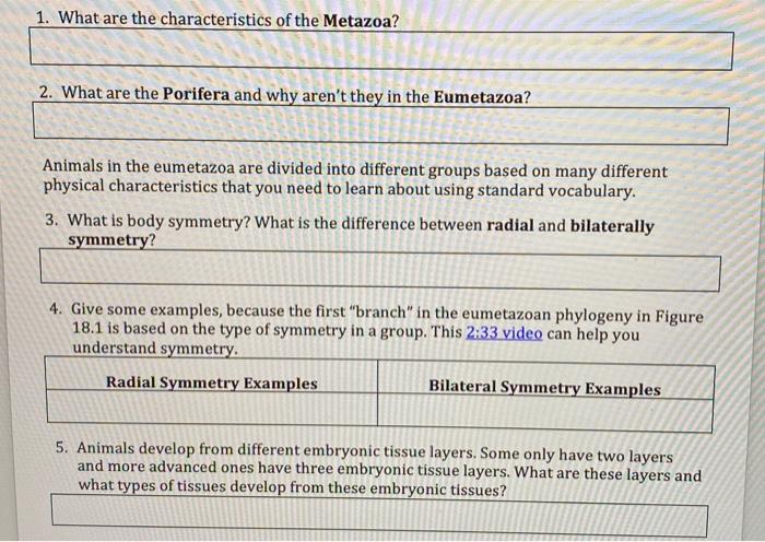 Solved 1. What are the characteristics of the Metazoa? 2. | Chegg.com