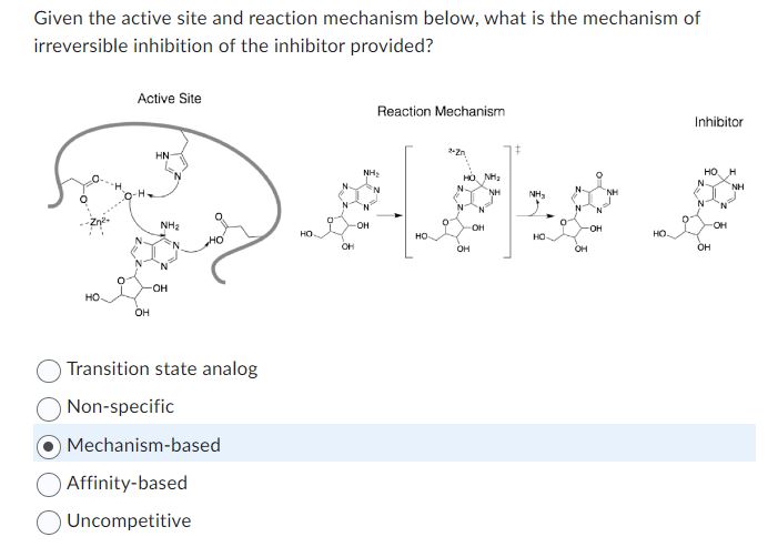Solved Given the active site and reaction mechanism below, | Chegg.com