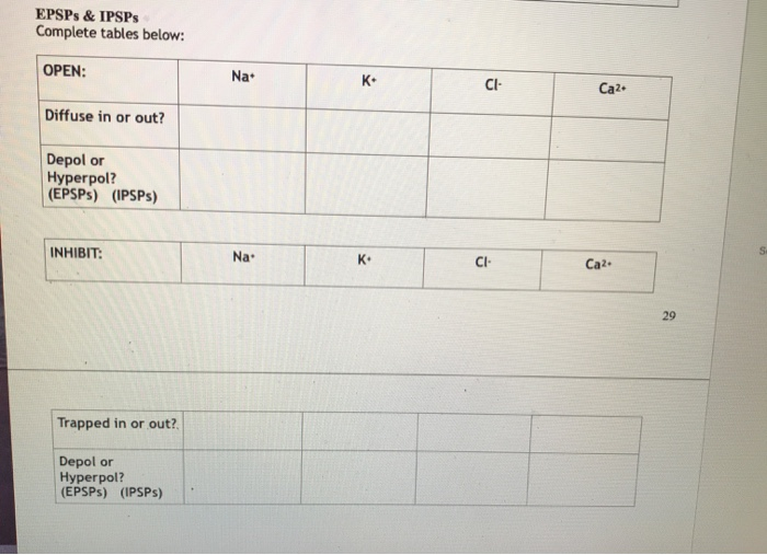 Solved EPSPs & IPSPS Complete tables below: OPEN: Na K. CI | Chegg.com Solved EPSPs & IPSPS Complete tables below: OPEN: Na K. CI | Chegg.com