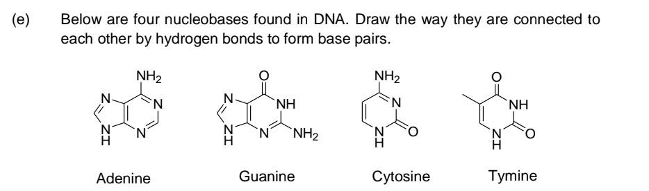 Solved Below are four nucleobases found in DNA. Draw the way | Chegg.com