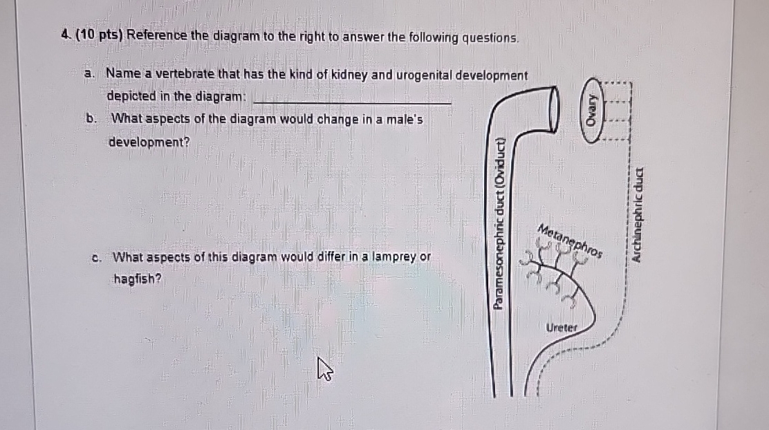 Solved (10 ﻿pts) ﻿Reference the diagram to the right to | Chegg.com