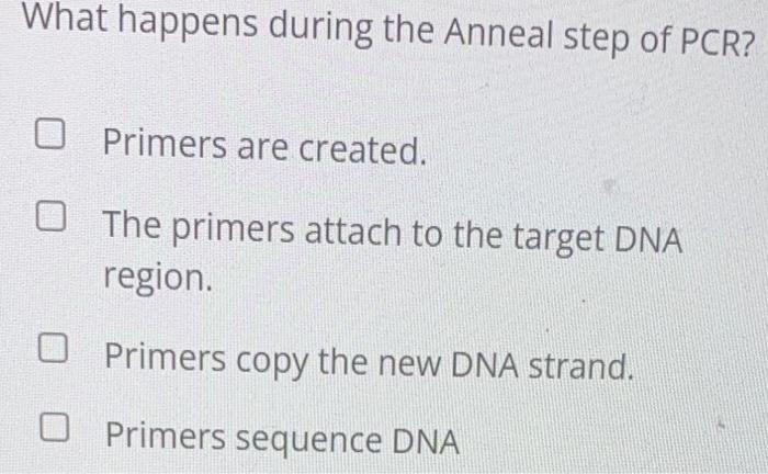 Solved What happens during the Anneal step of PCR? 0 Primers | Chegg.com