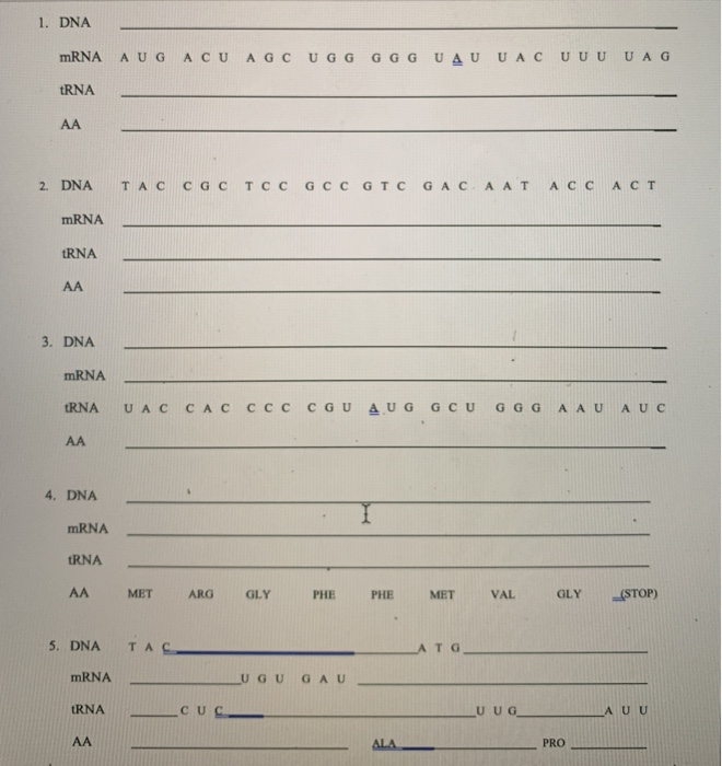 Solved For each example, fill in the template strand dna | Chegg.com