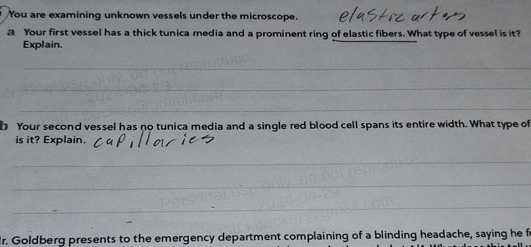 Solved You are examining unknown vessels under the | Chegg.com