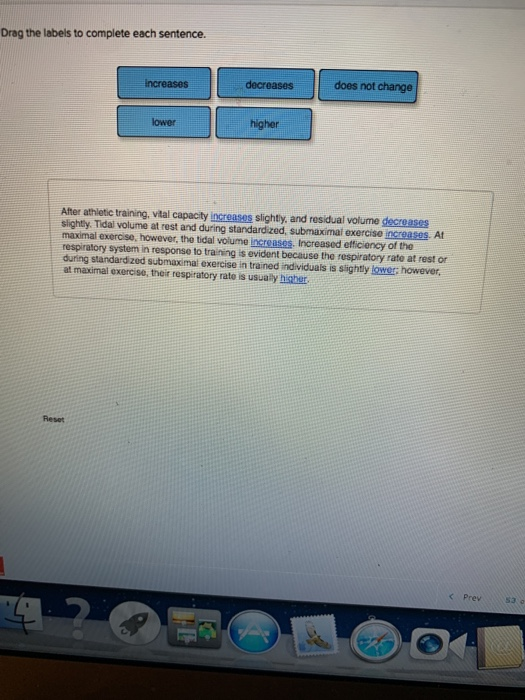 Solved Drag the labels to complete each sentence. Increases | Chegg.com