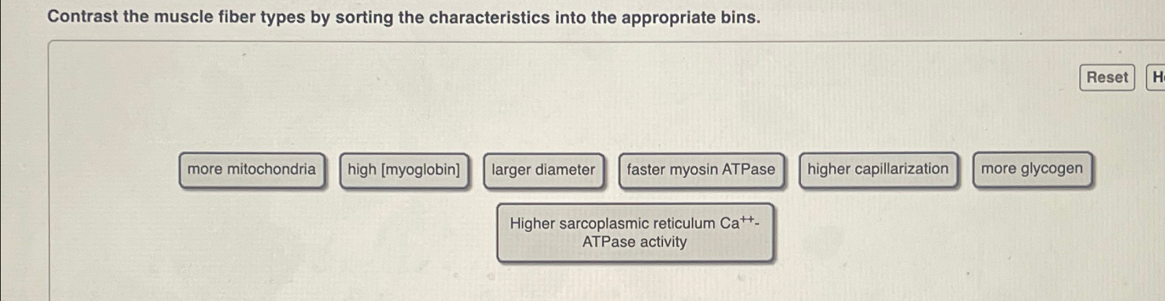 Solved Contrast the muscle fiber types by sorting the | Chegg.com