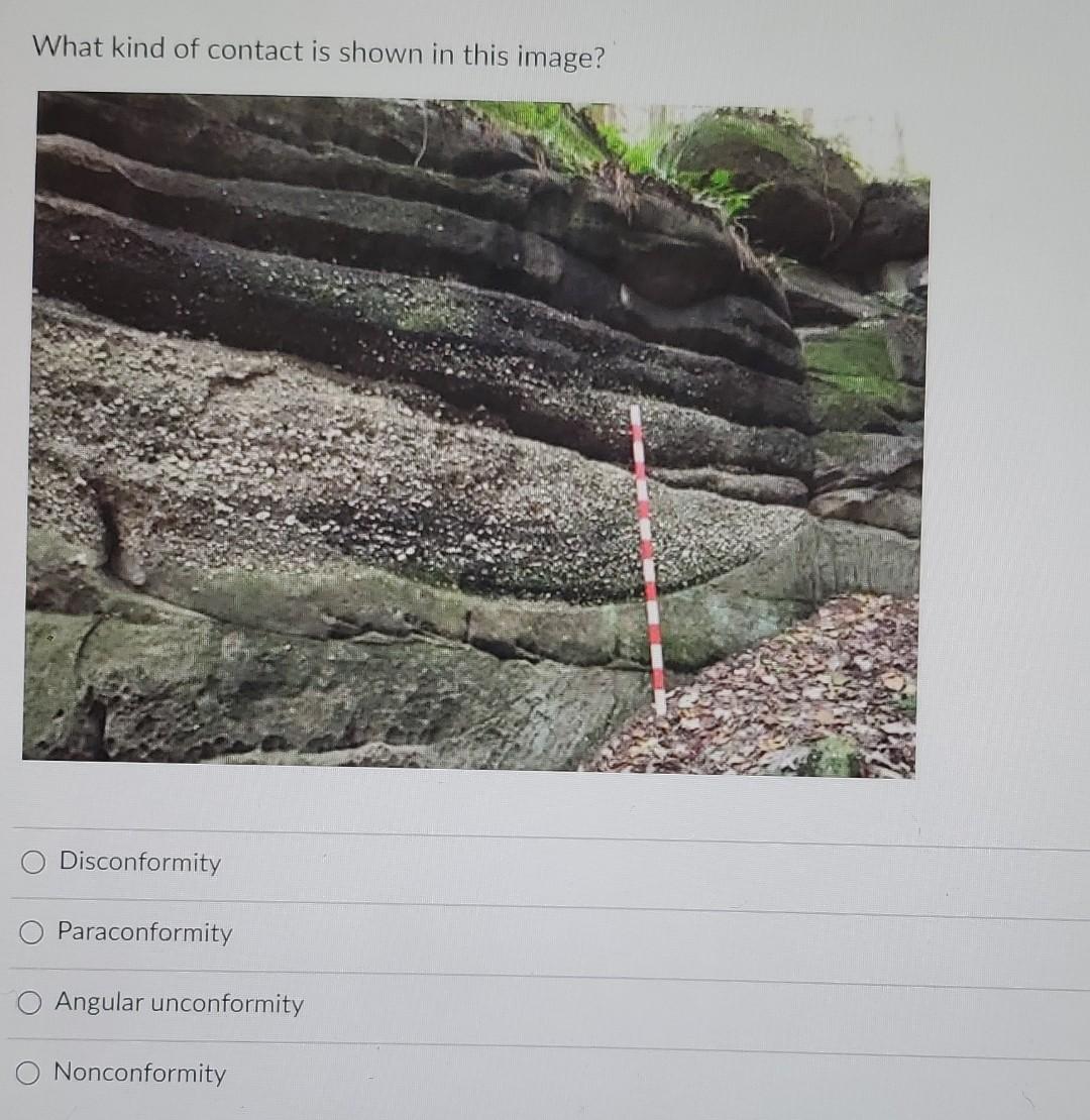 Solved What kind of contact is shown in this image? | Chegg.com