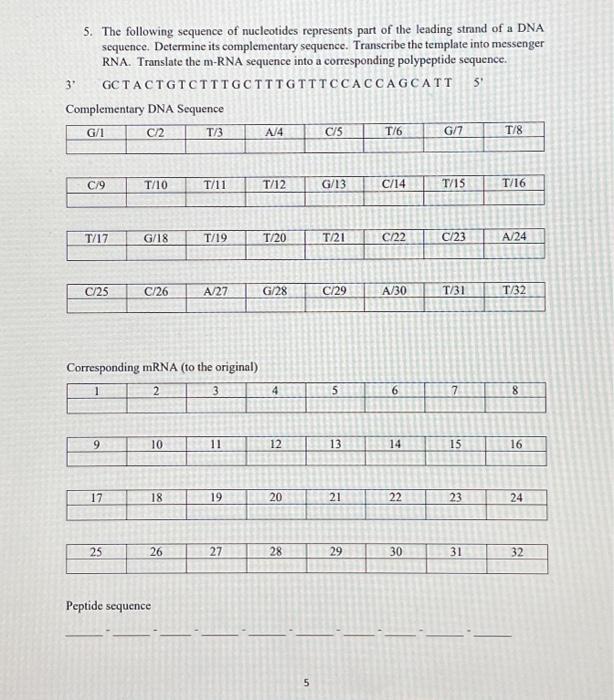 Solved 5. The following sequence of nucleotides represents | Chegg.com