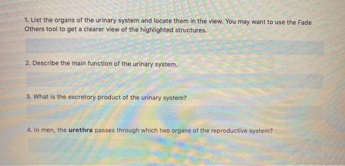 Solved 1. List the organs of the urinary system and locate | Chegg.com