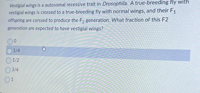 Solved A true-breeding fly with Vestigial wings is a | Chegg.com