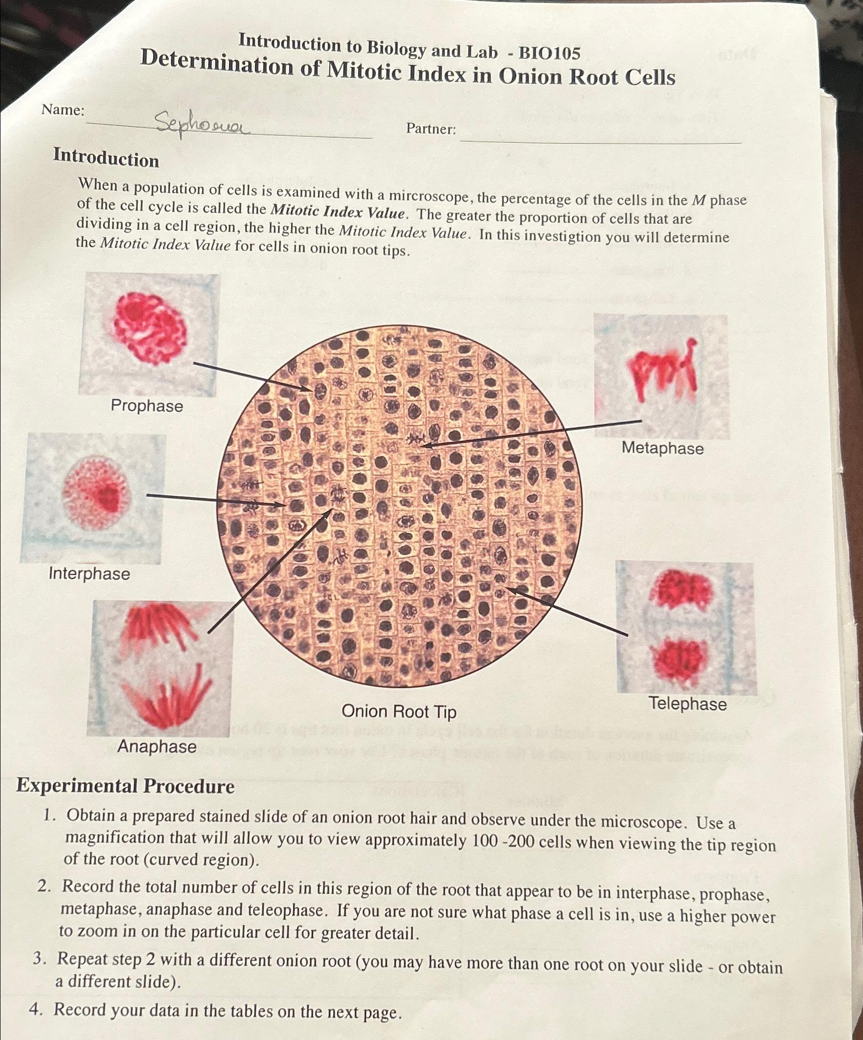 Solved Introduction to Biology and Lab - ﻿BIO105 | Chegg.com