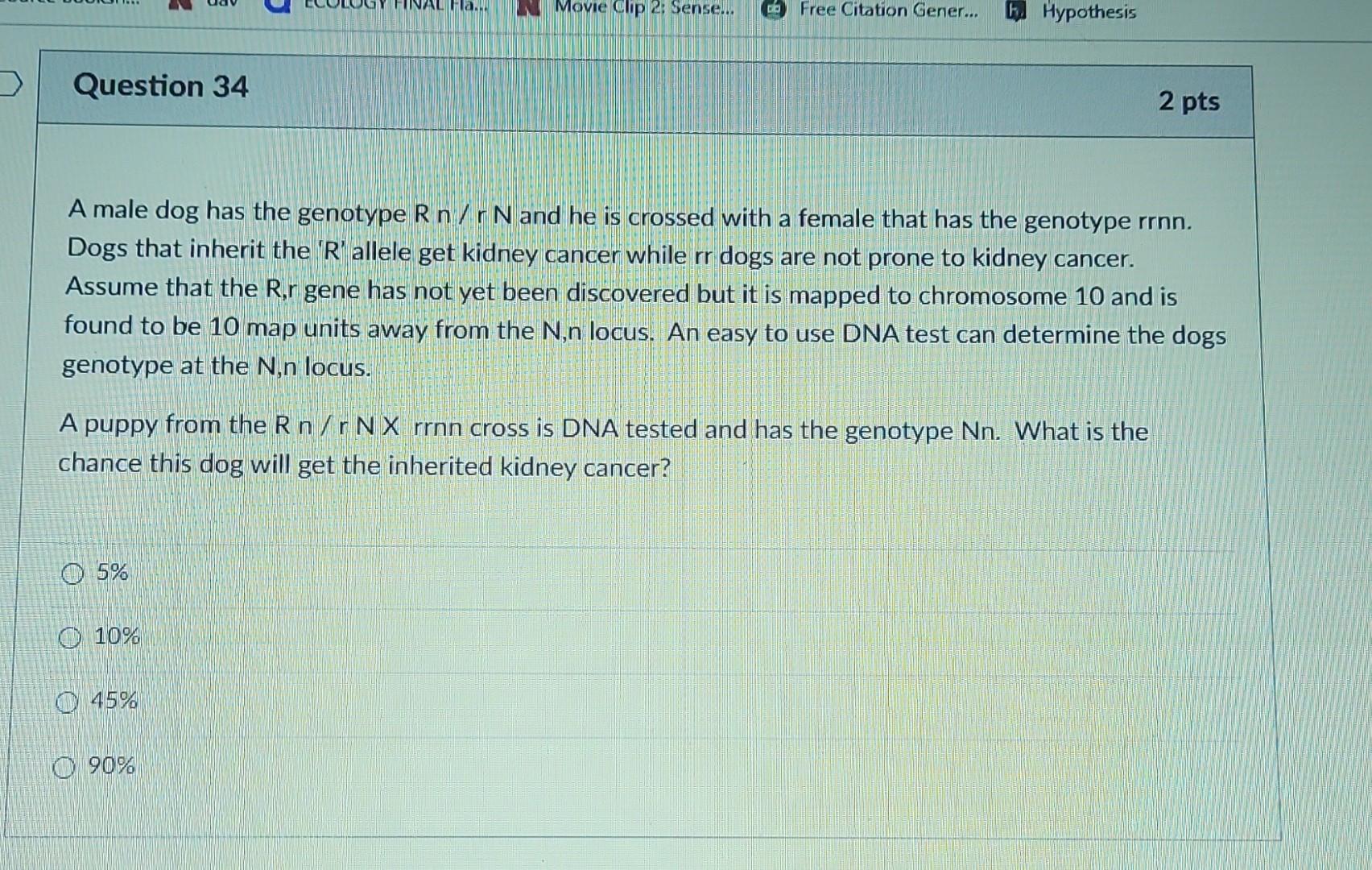 Solved A male dog has the genotype Rn/rN and he is crossed | Chegg.com