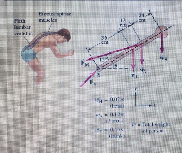 Solved Part A Assume that trunk of a person makes an angle = | Chegg.com