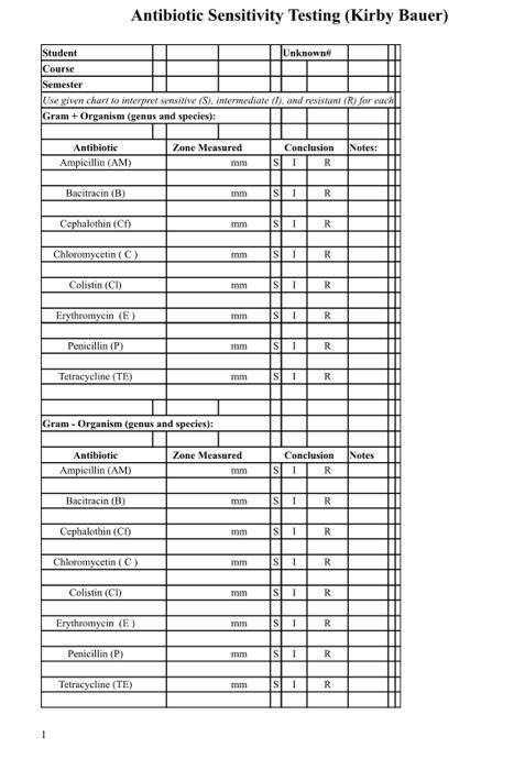 Antibiotic Sensitivity Testing (Kirby Bauer) Student | Chegg.com