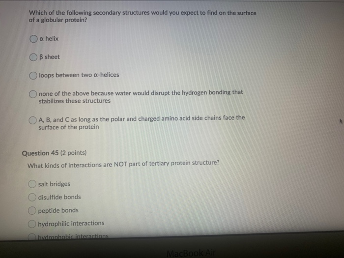 Solved The amide formed in the reaction of benzoic acid and | Chegg.com