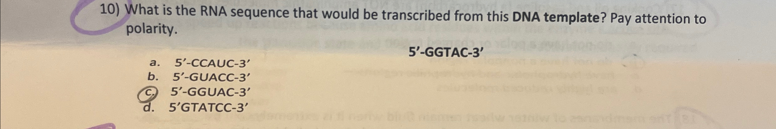 Solved What is the RNA sequence that would be transcribed | Chegg.com