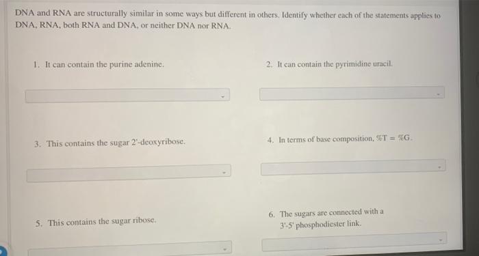 Solved DNA and RNA are structurally similar in some ways but | Chegg.com