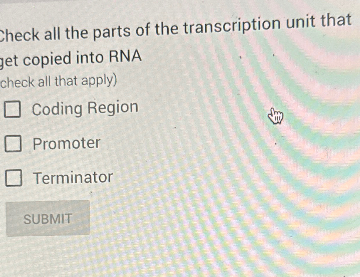 Solved Sheck all the parts of the transcription unit that | Chegg.com