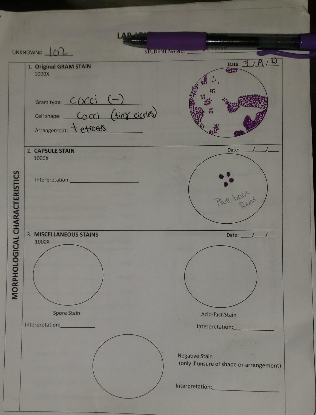 Solved Hello! I need help filling this in and or corrections | Chegg.com
