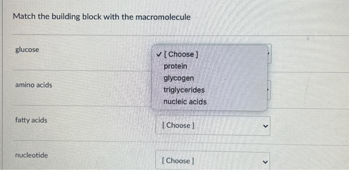 Solved Match the building block with the macromolecule | Chegg.com