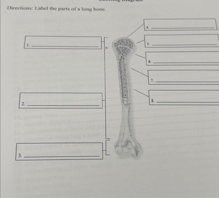 Solved Directions: Label the parts of a long bone. | Chegg.com