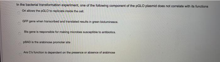 Solved In the bacterial transformation experiment, one of | Chegg.com