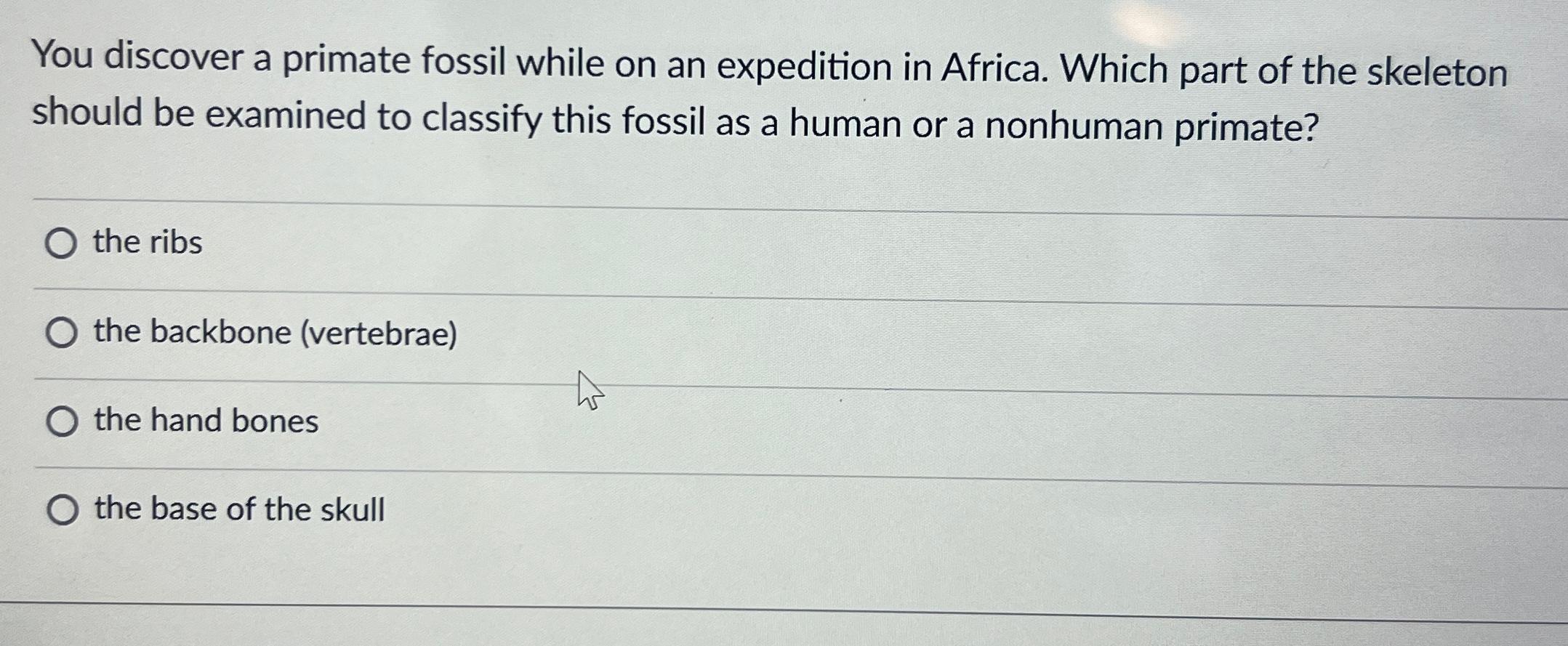Solved You discover a primate fossil while on an expedition | Chegg.com